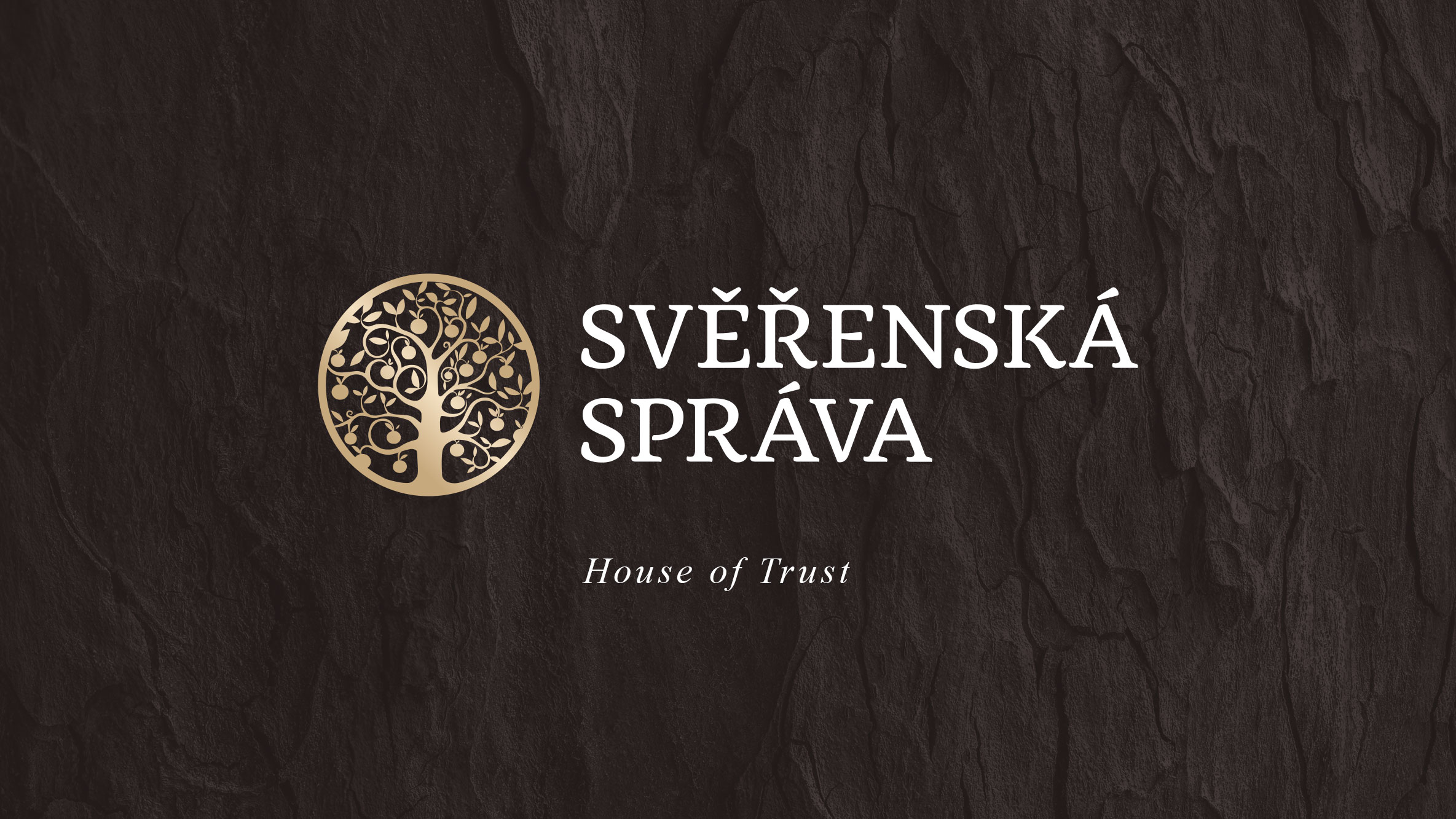 Tax identification number (TIN) | Slovník | Svěřenská správa